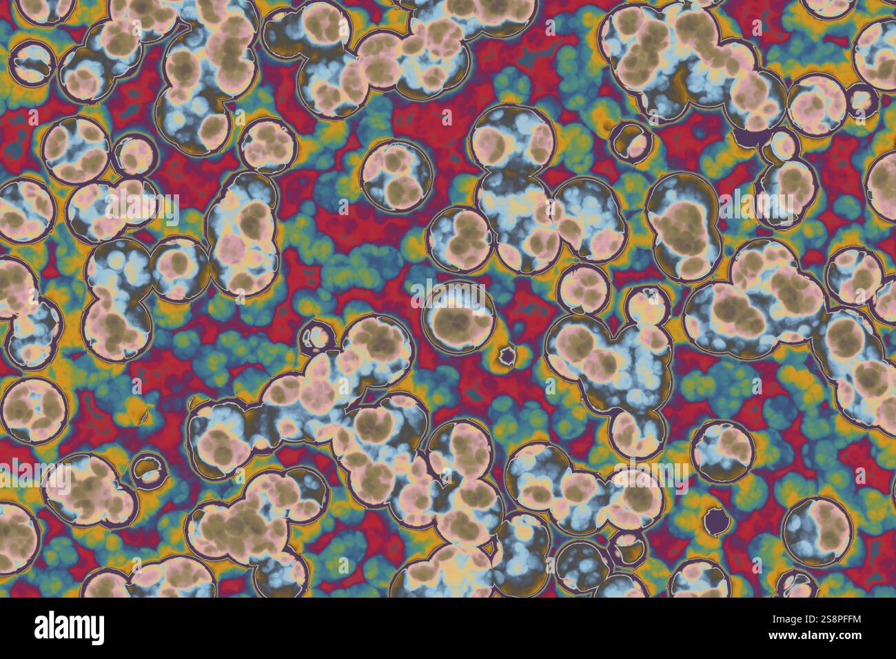 Shape Of Bacterial Cell Cocci Bacilli Spirilla Bacteria Background