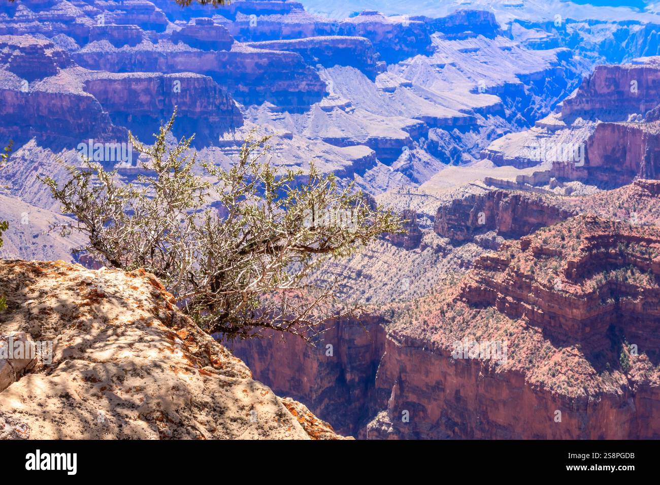 Bright Angel Canyon is located in the Grand Canyon National Park. The ...