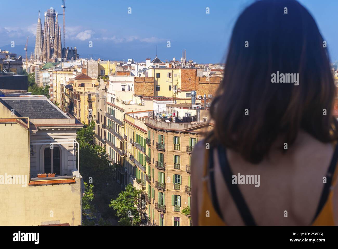 Human expe hi-res stock photography and images - Alamy