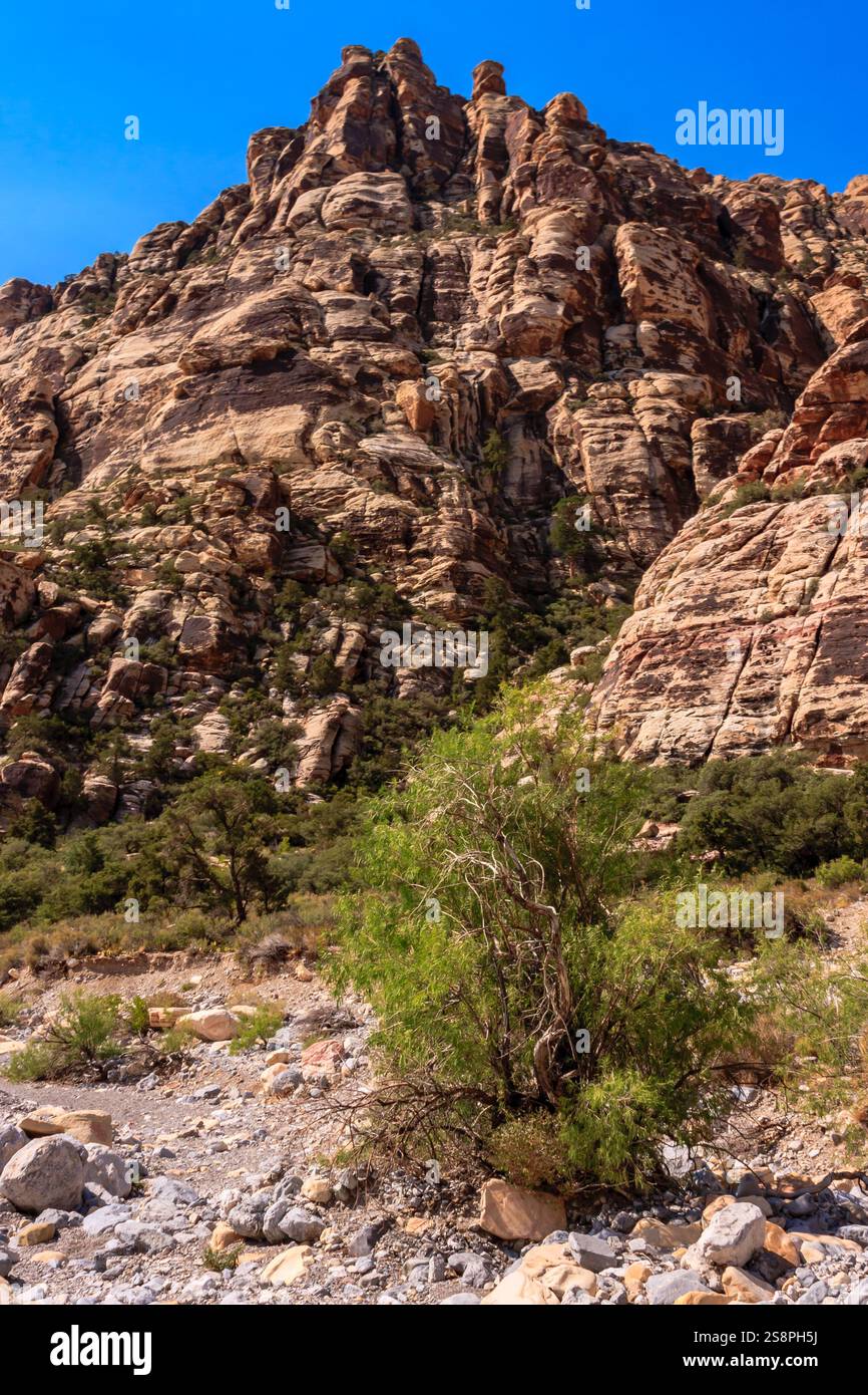 Red Rock Canyon National Conservation Area in Nevada is located about ...