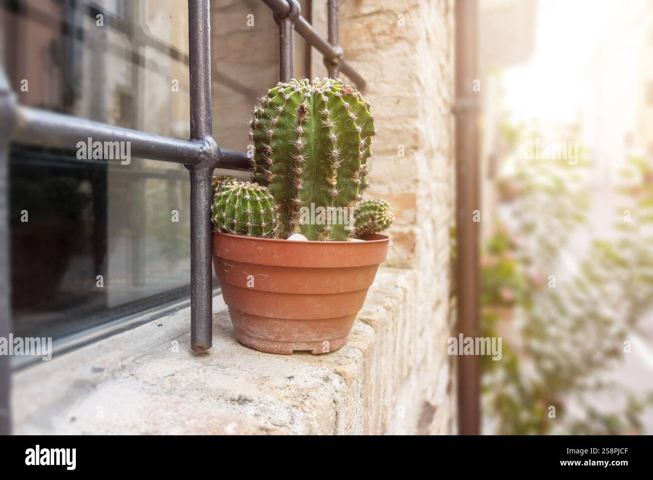 Spiky windows hi-res stock photography and images - Alamy