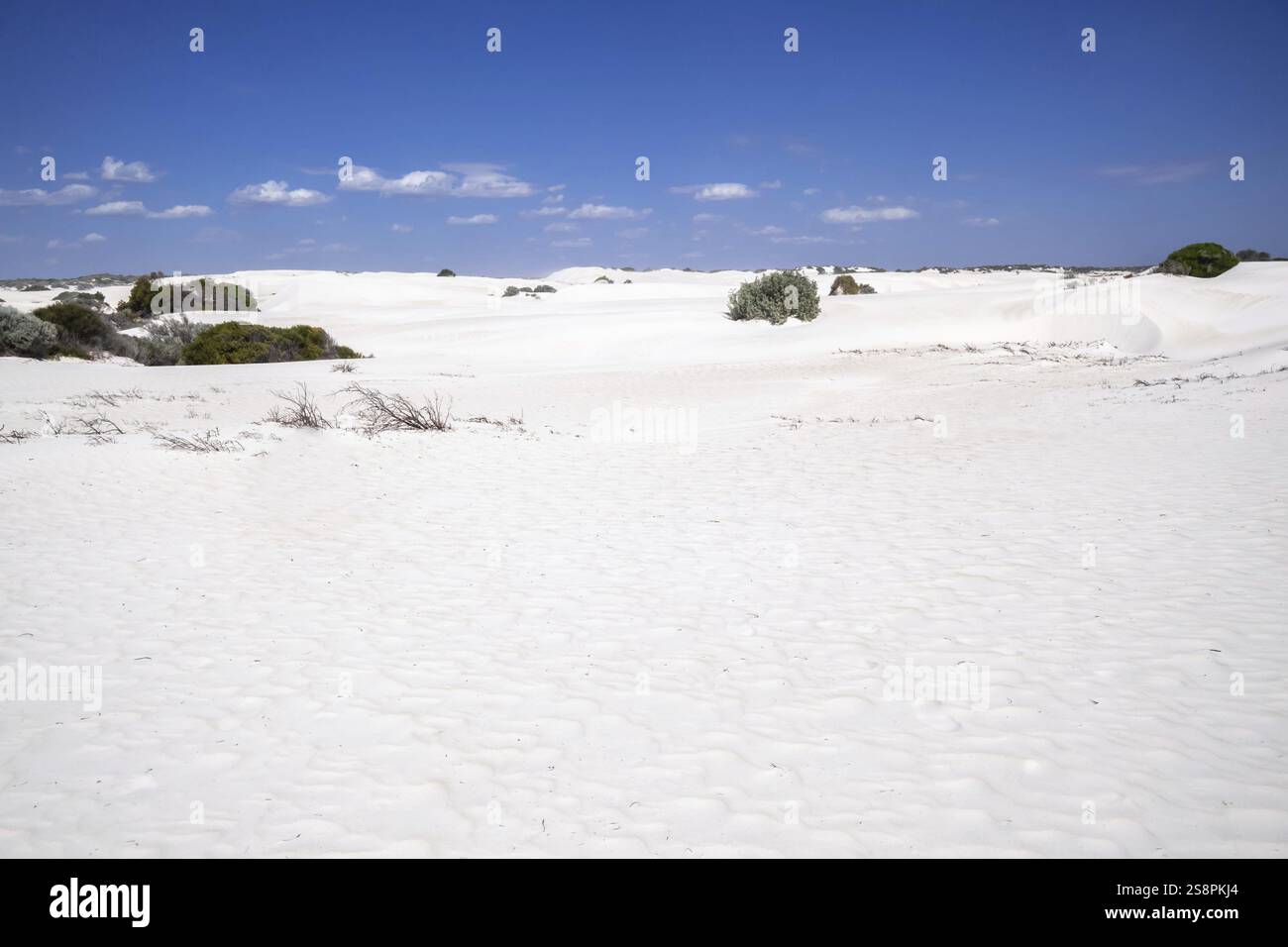 An image of white dune sand scenery western Australia Stock Photo - Alamy