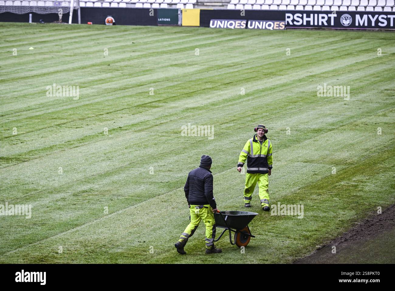 Greenkeepers pictured at the brand new pitch of Belgian soccer team ...