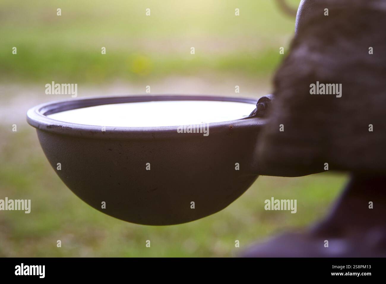 An image of a typical livestock watering Stock Photo - Alamy