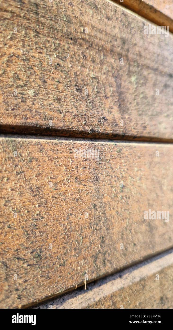 Natural light enhances the rich textures and weathered look of wooden ...