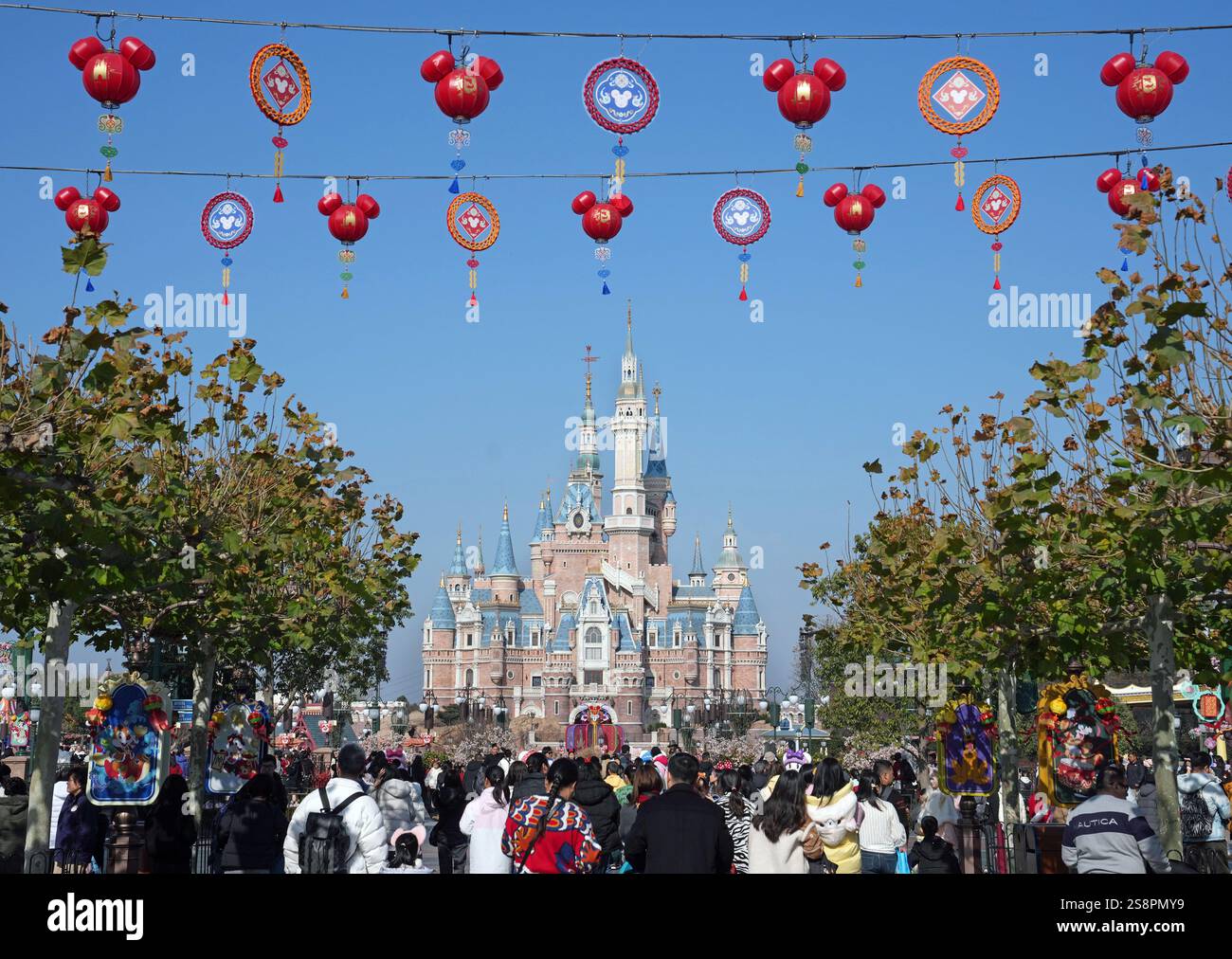 Mickey snake hi-res stock photography and images - Alamy