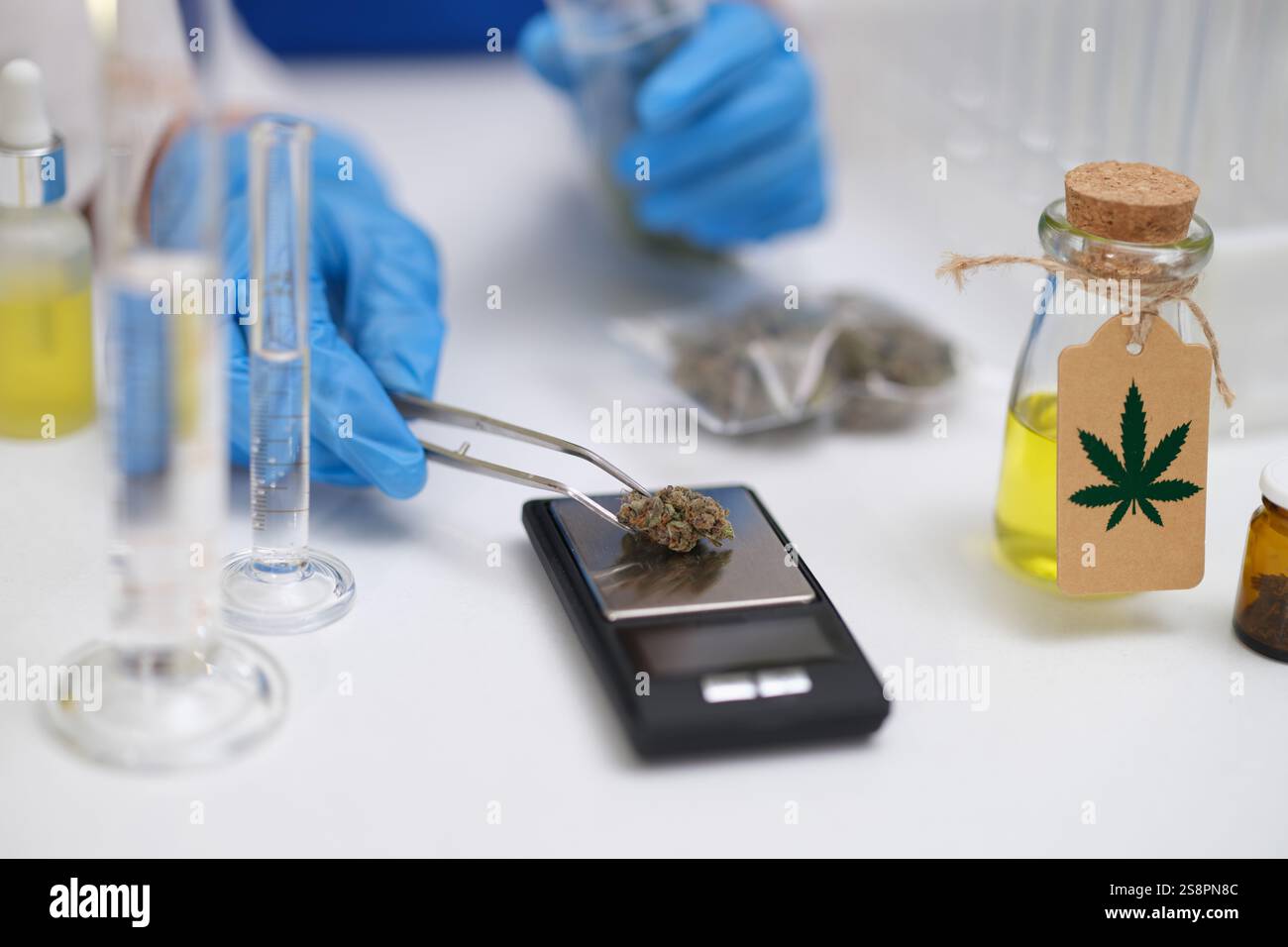 Testing and Analysis of Cannabis in a Scientific and Laboratory ...