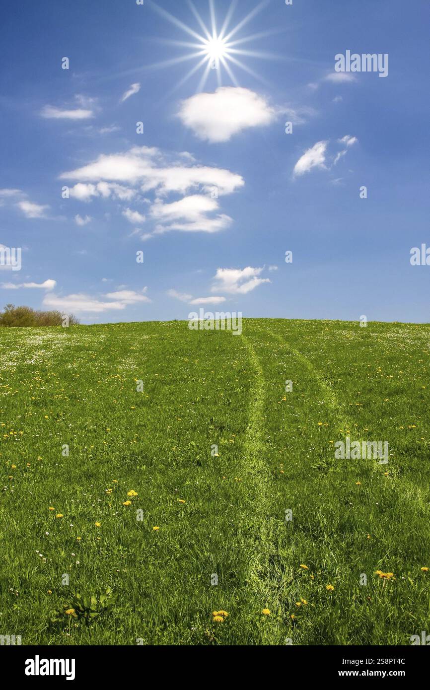 Trace grass hi-res stock photography and images - Alamy