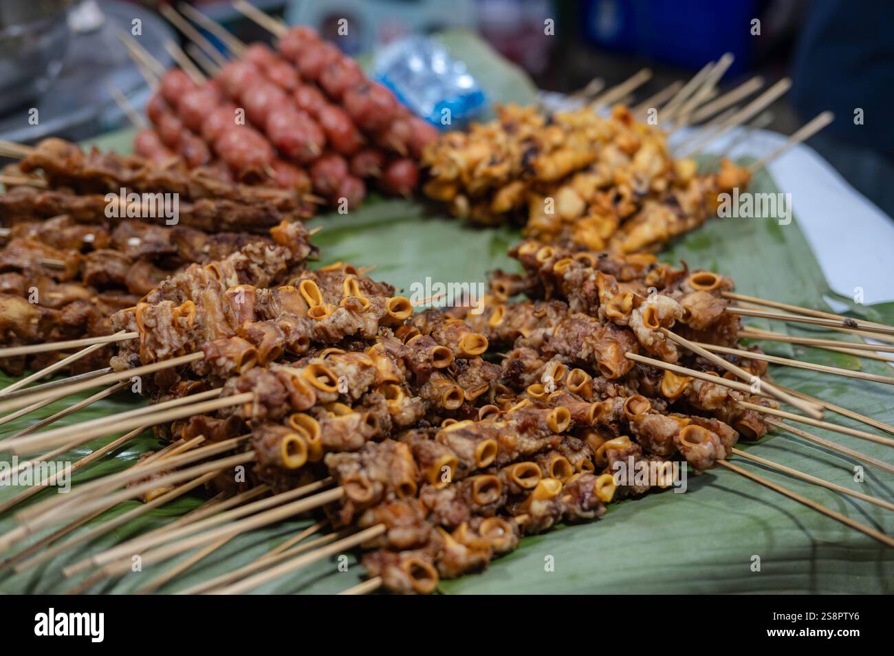 Food Festival in the Laos capital city Vientiane, one week of ...