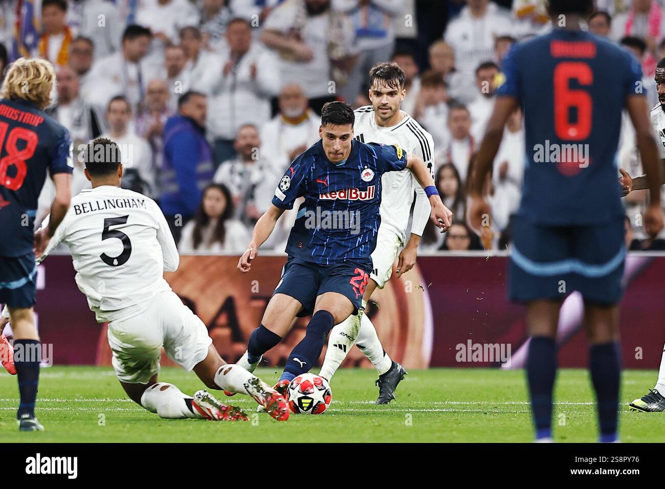 Adam Daghim (Salzburg), JANUARY 22, 2025 - Football / Soccer : UEFA ...