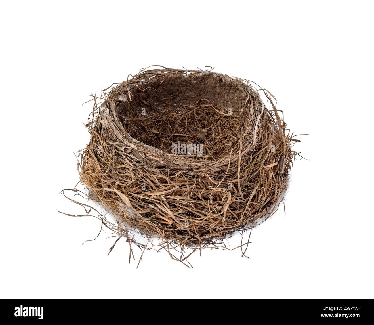 Empty bird nest isolated cutout top view on white Stock Photo - Alamy