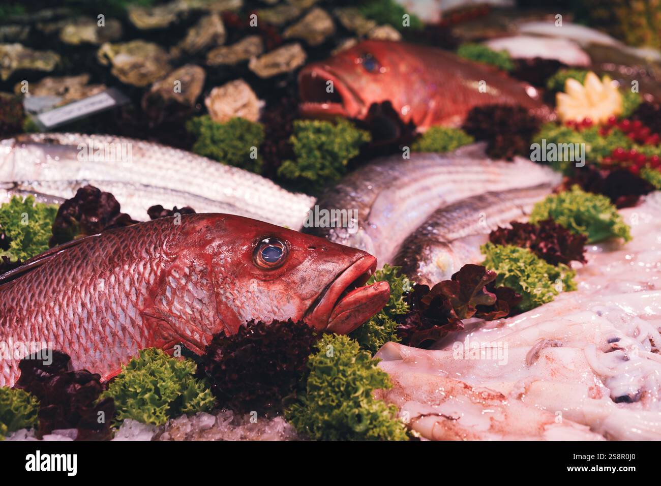 A market stall featuring red snapper and other fresh seafood arranged ...
