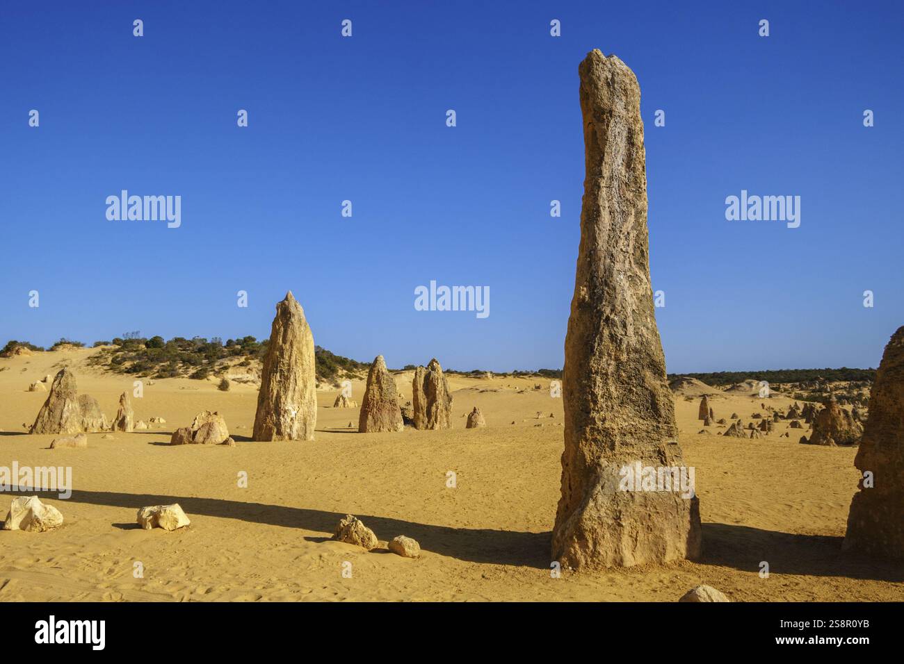 An image of the Pinnacles Desert at Nambung National Park Australia ...