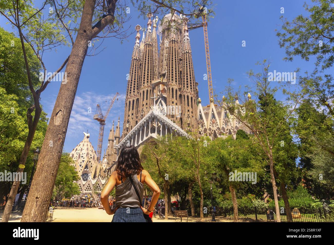 Young woman admiring the impressive sagrada familia basilica, a unesco ...