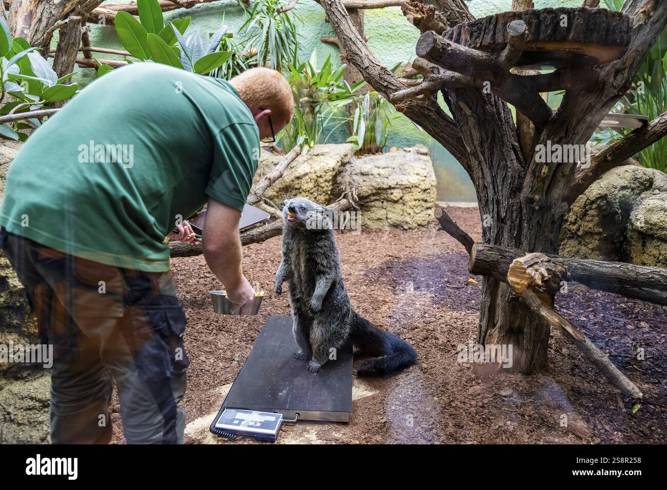Animal inventory at Dresden Zoo At the turn of the year, the zoo takes ...