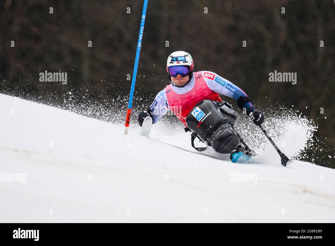 Feldberg, Germany. 23rd Jan, 2025. Alpine skiing: FIS Para Alpine Ski ...