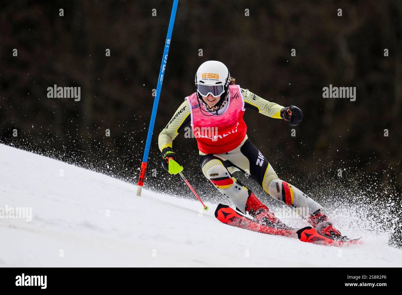 23 January 2025, Baden-Württemberg, Feldberg: Alpine skiing: FIS Para ...