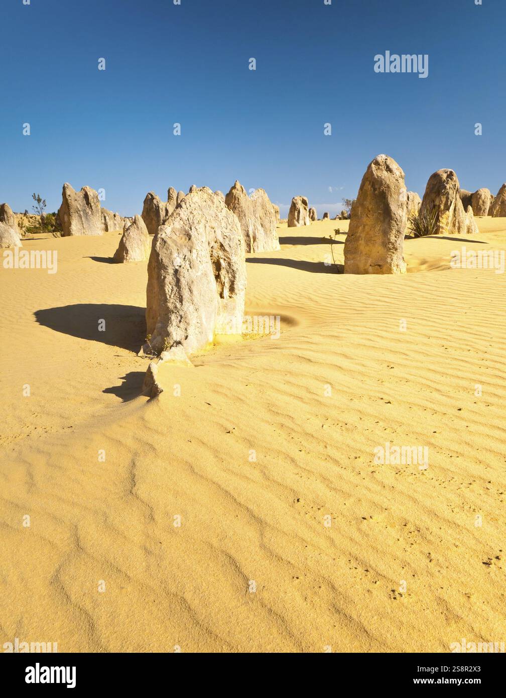 An image of the strange desert Pinnacles in Australia Stock Photo - Alamy