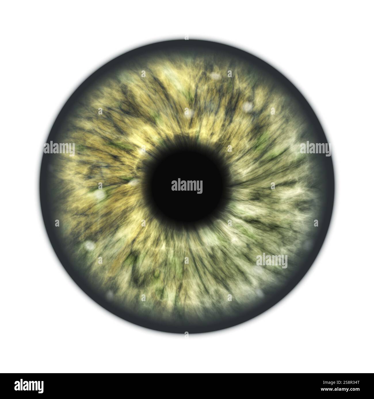 The dark iris no Cut Out Stock Images & Pictures - Alamy