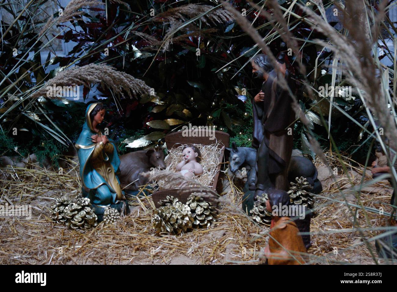 The holy manger in bethlehem hi-res stock photography and images - Alamy