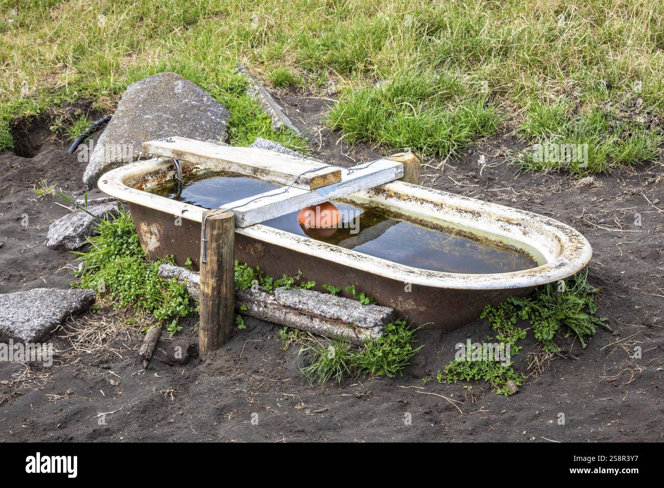 An image of an old tub for animals potions Stock Photo - Alamy