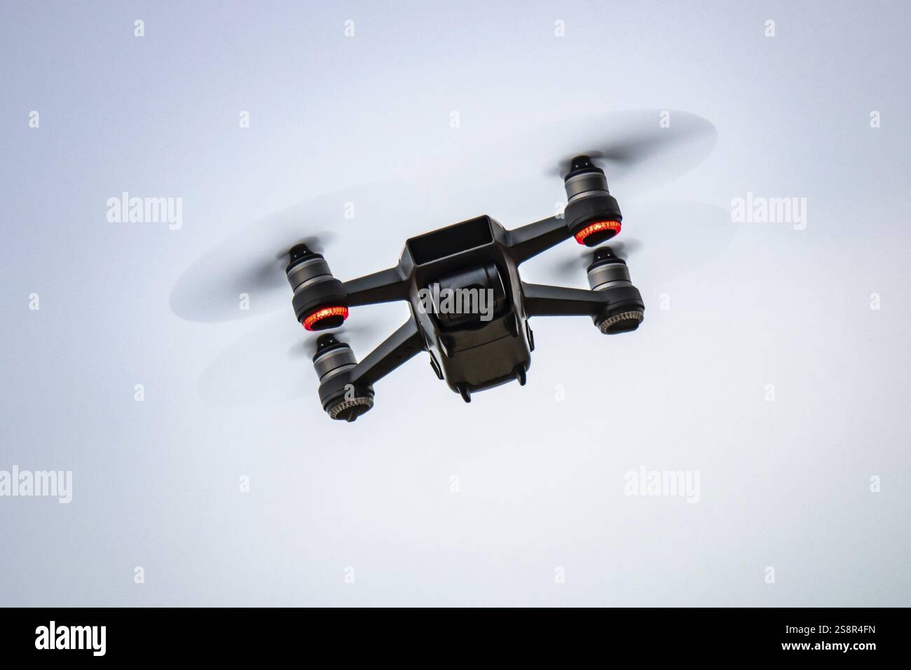 Drone images animals hi-res stock photography and images - Alamy