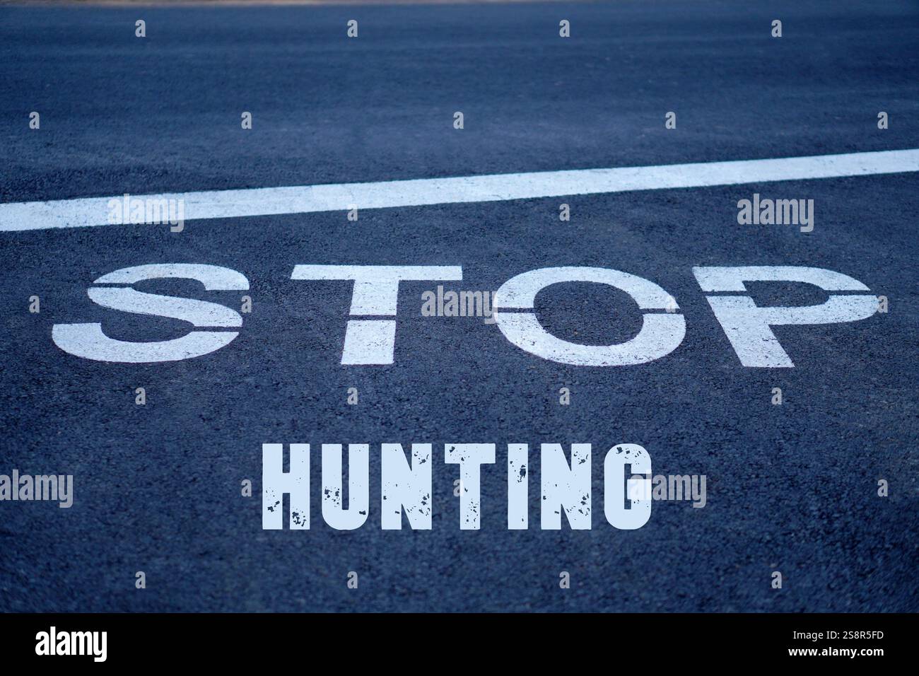 stop hunting. activism and animal welfare concept. words written on a ...