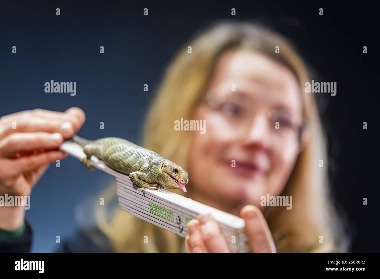 Inventory turns hi-res stock photography and images - Alamy