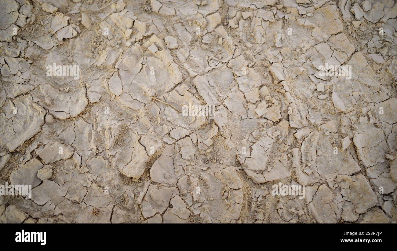 An image of a dry earth background texture Stock Photo - Alamy