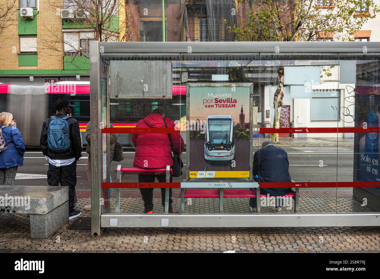 Tussam bus circulating in the city center. On January 23, 2025, in ...