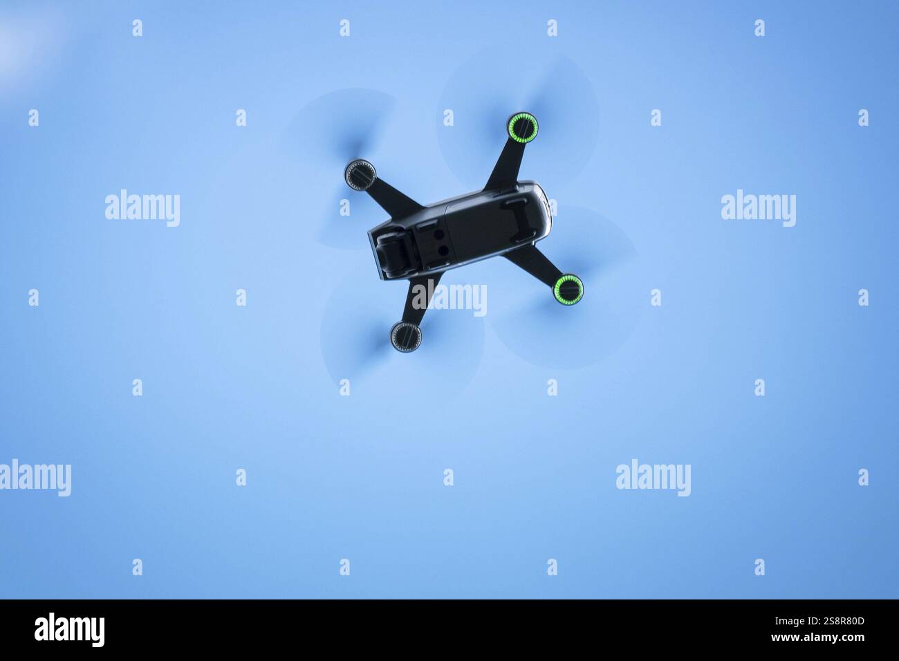 Drone images animals hi-res stock photography and images - Alamy