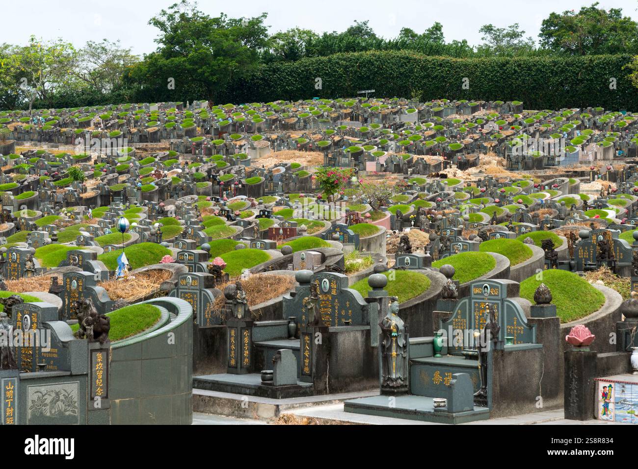 The Choa Chu Kang Cemetery in Singapore, Southeast Asia Stock Photo - Alamy