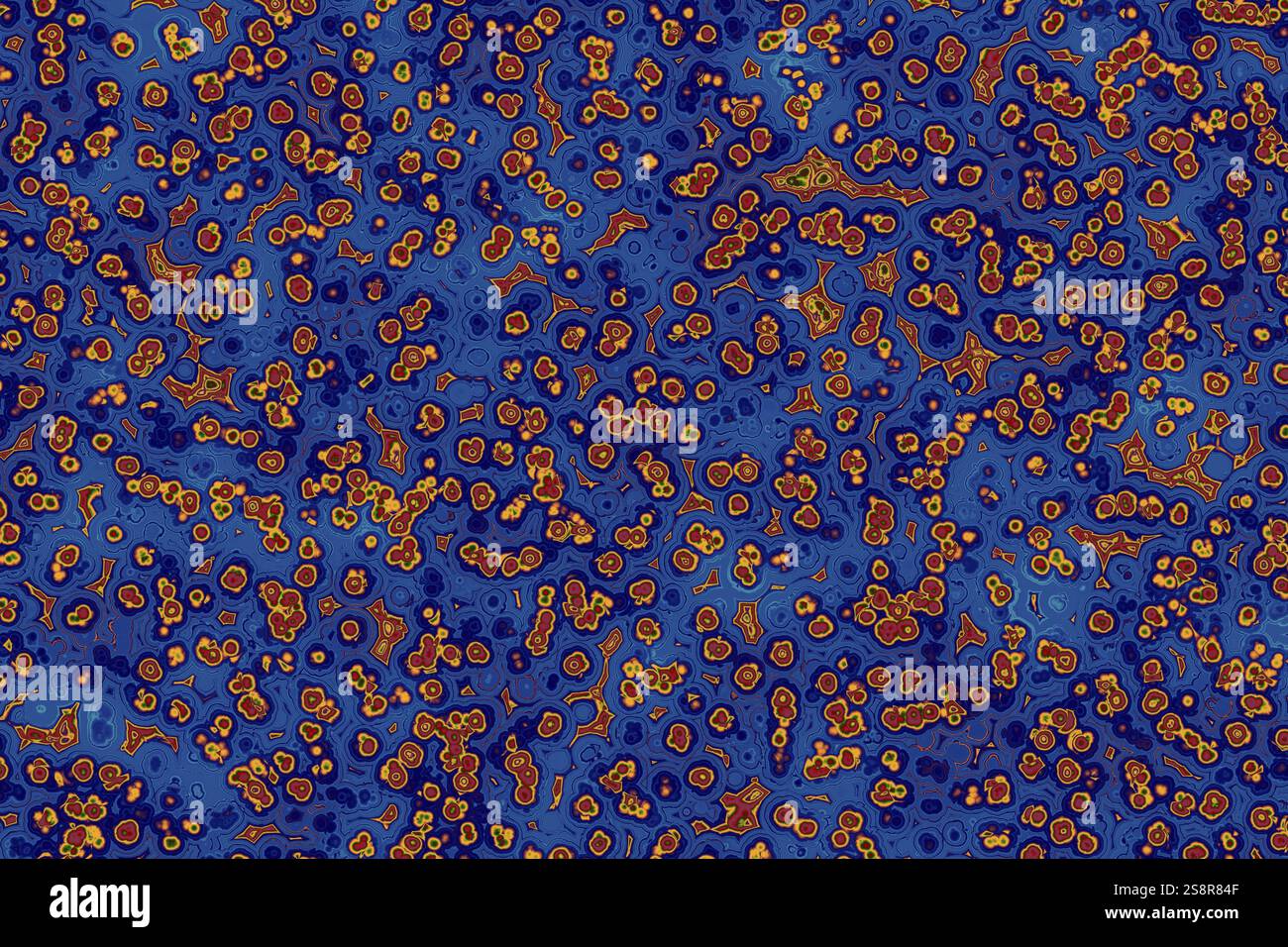 Shape of bacterial cell: cocci, bacilli, spirilla bacteria background ...