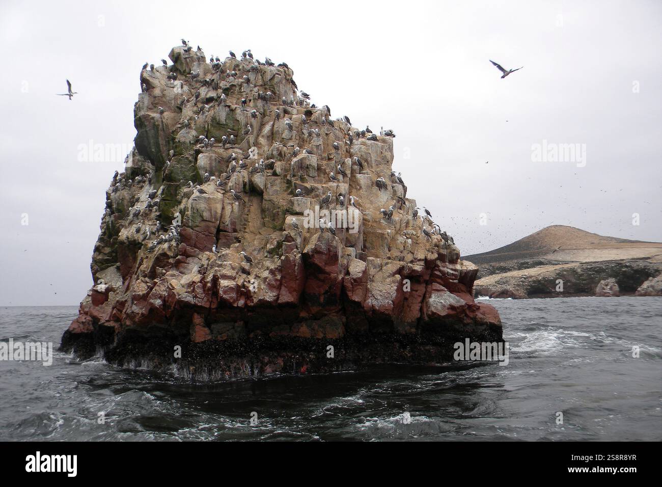 Ballestas Island. Peru Stock Photo - Alamy