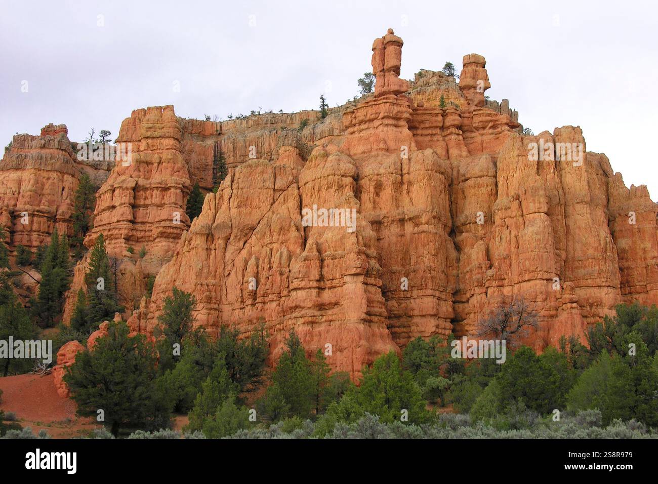 Red canyon. Utah. United States of America Stock Photo - Alamy