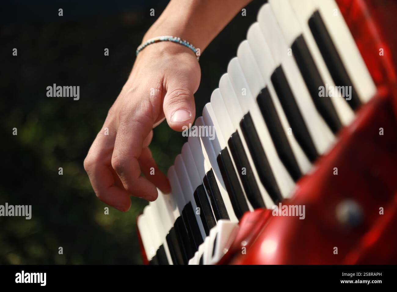 Hands On The Keyboard Of The Accordion Stock Photo - Alamy