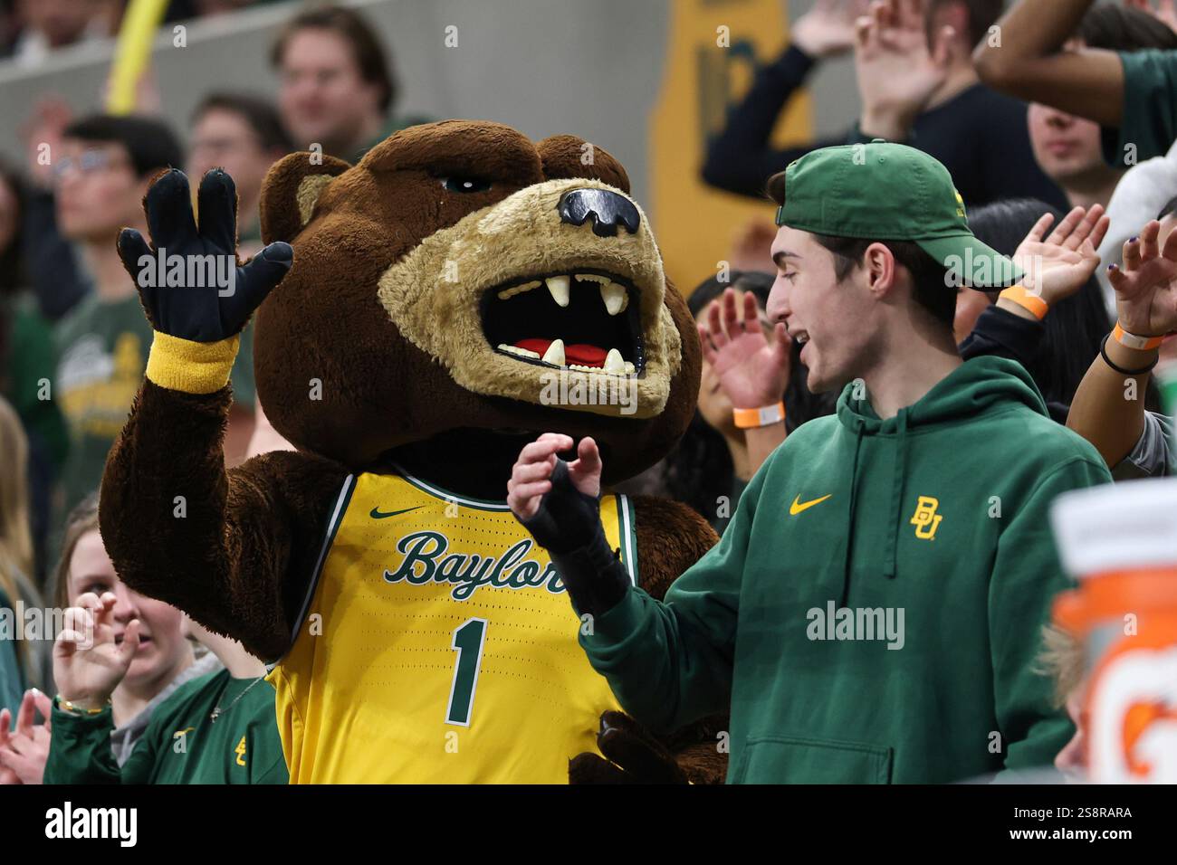 WACO, TX - JANUARY 22: Bruiser the mascot has fun with a student fan ...