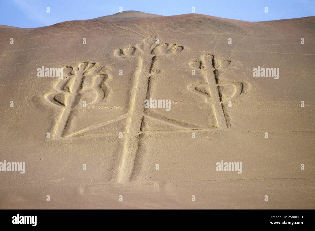 Indios pampa hi-res stock photography and images - Alamy