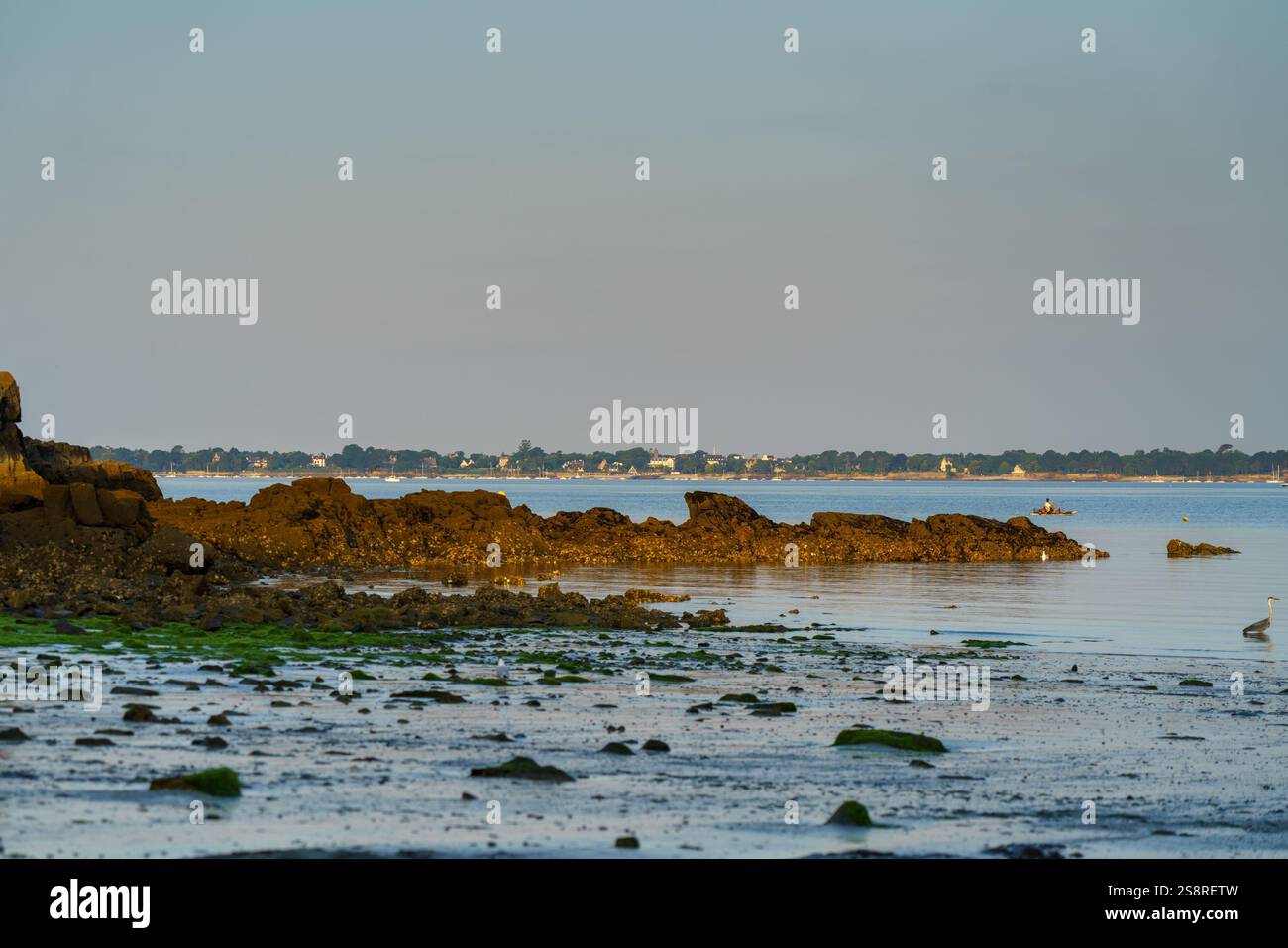 France, Brittany region, Finistère sud department, Cornouaille ...