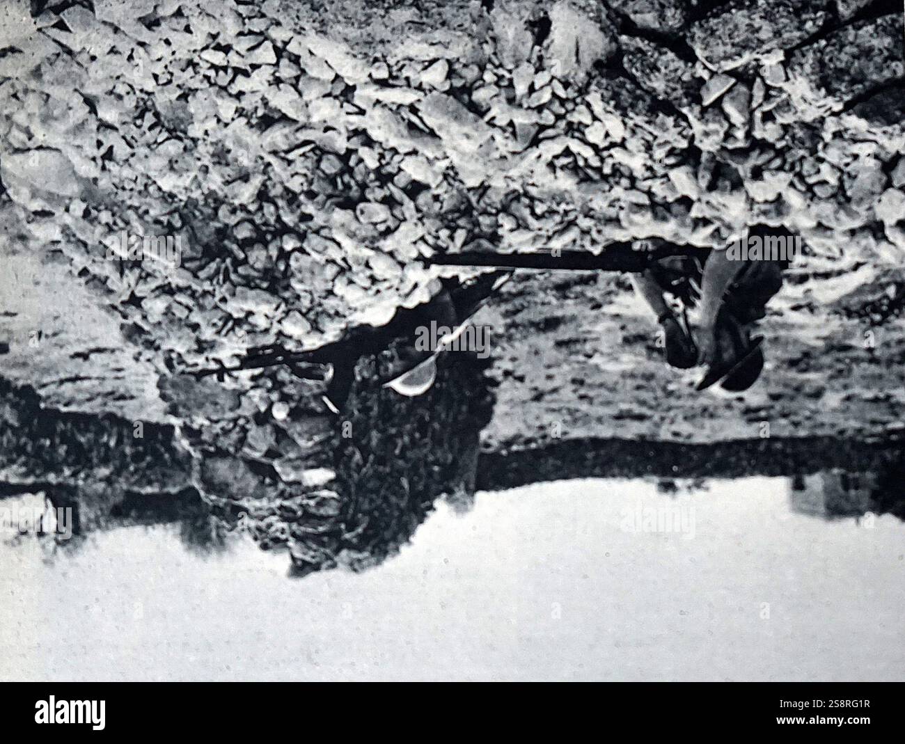 Photograph of British soldiers taking cover behind a destroyed wall ...