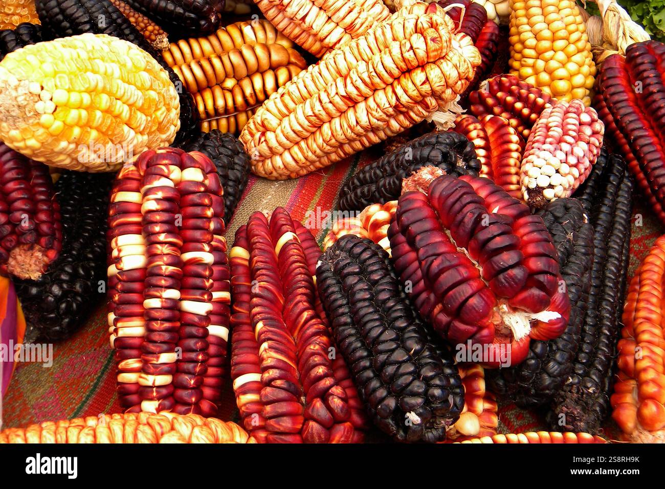 Corn. Cusco. Peru Stock Photo - Alamy