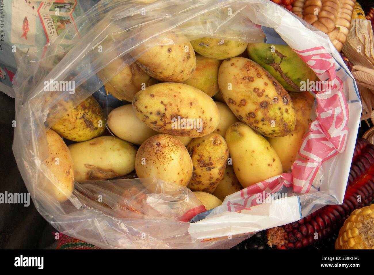 Potatoes peru hi-res stock photography and images - Alamy