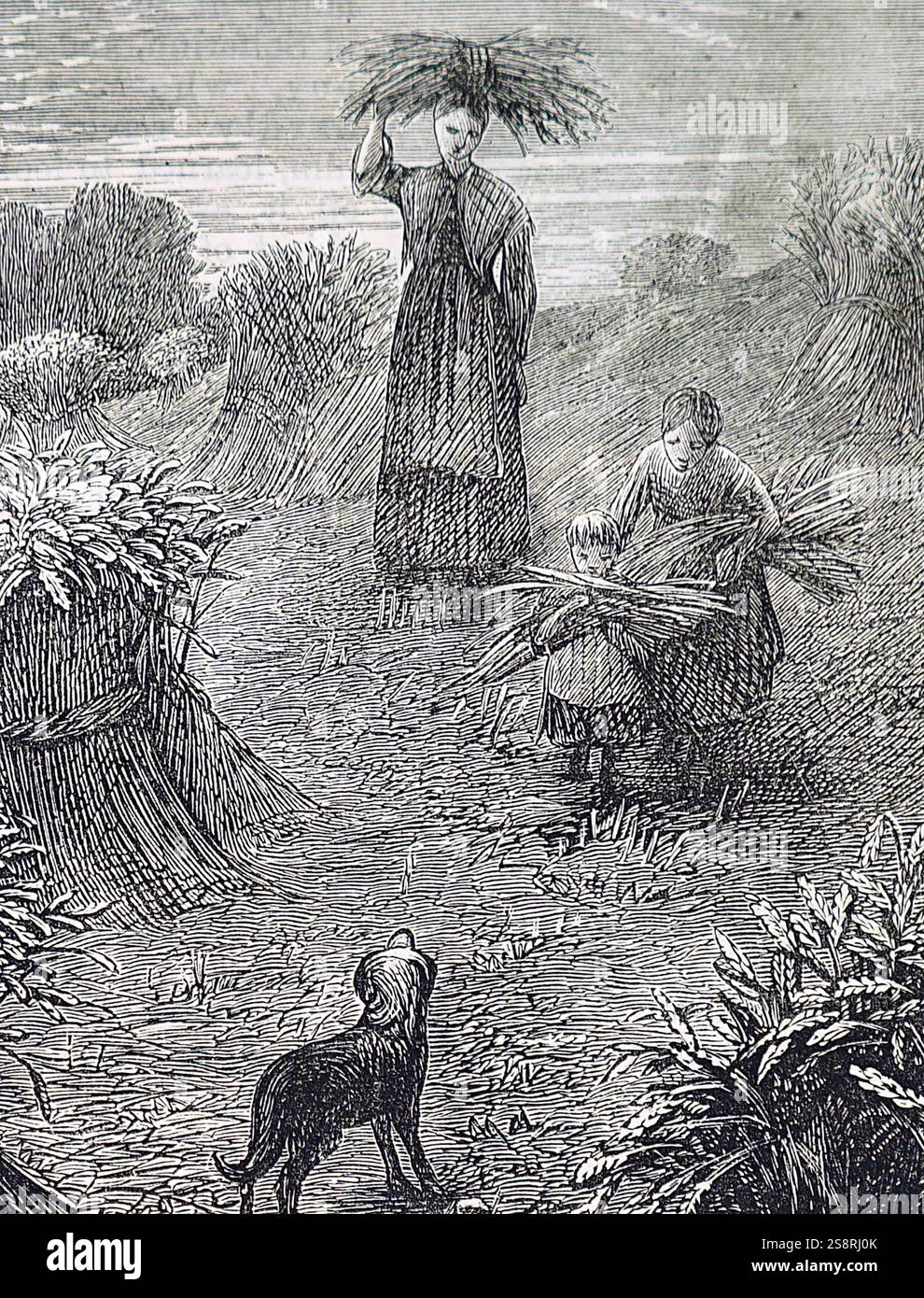 Illustration depicting Gleaners. Gleaning is the act of collecting ...