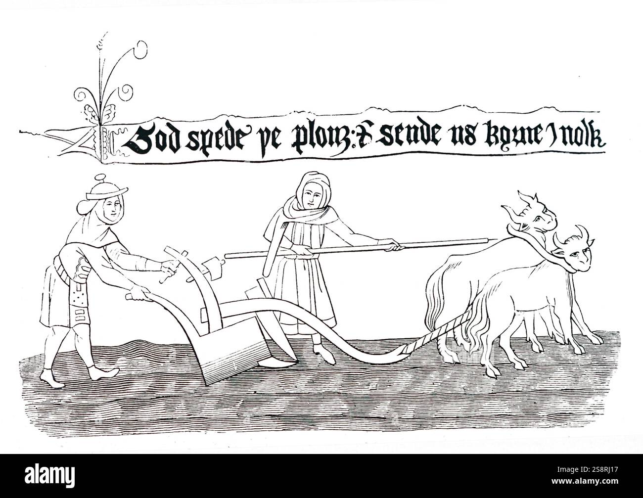Illustration depicting ploughing in Anglo-Saxon times, with the use of ...
