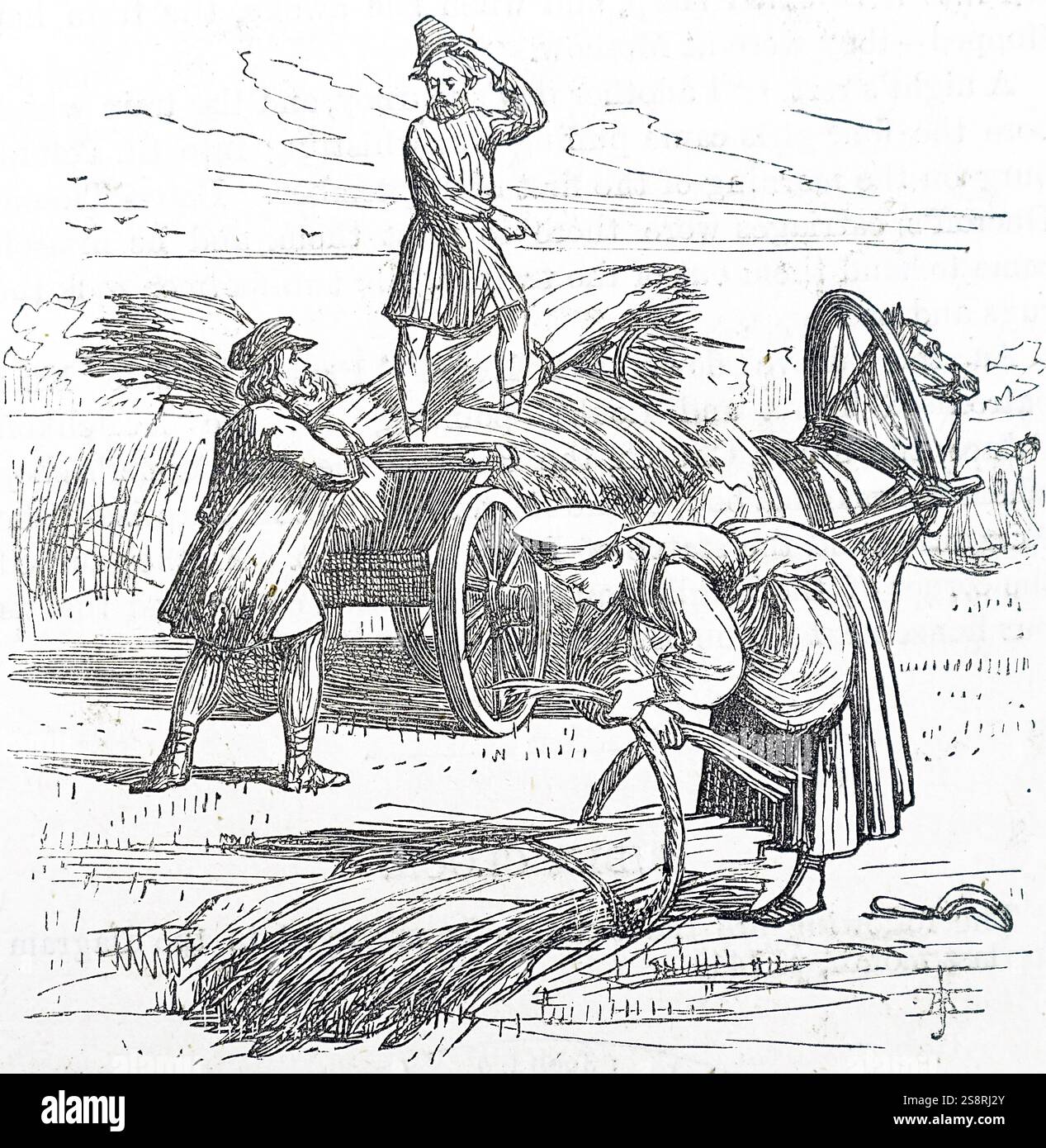 Engraving depicting the reaping of barley by hand. Dated 19th Century ...