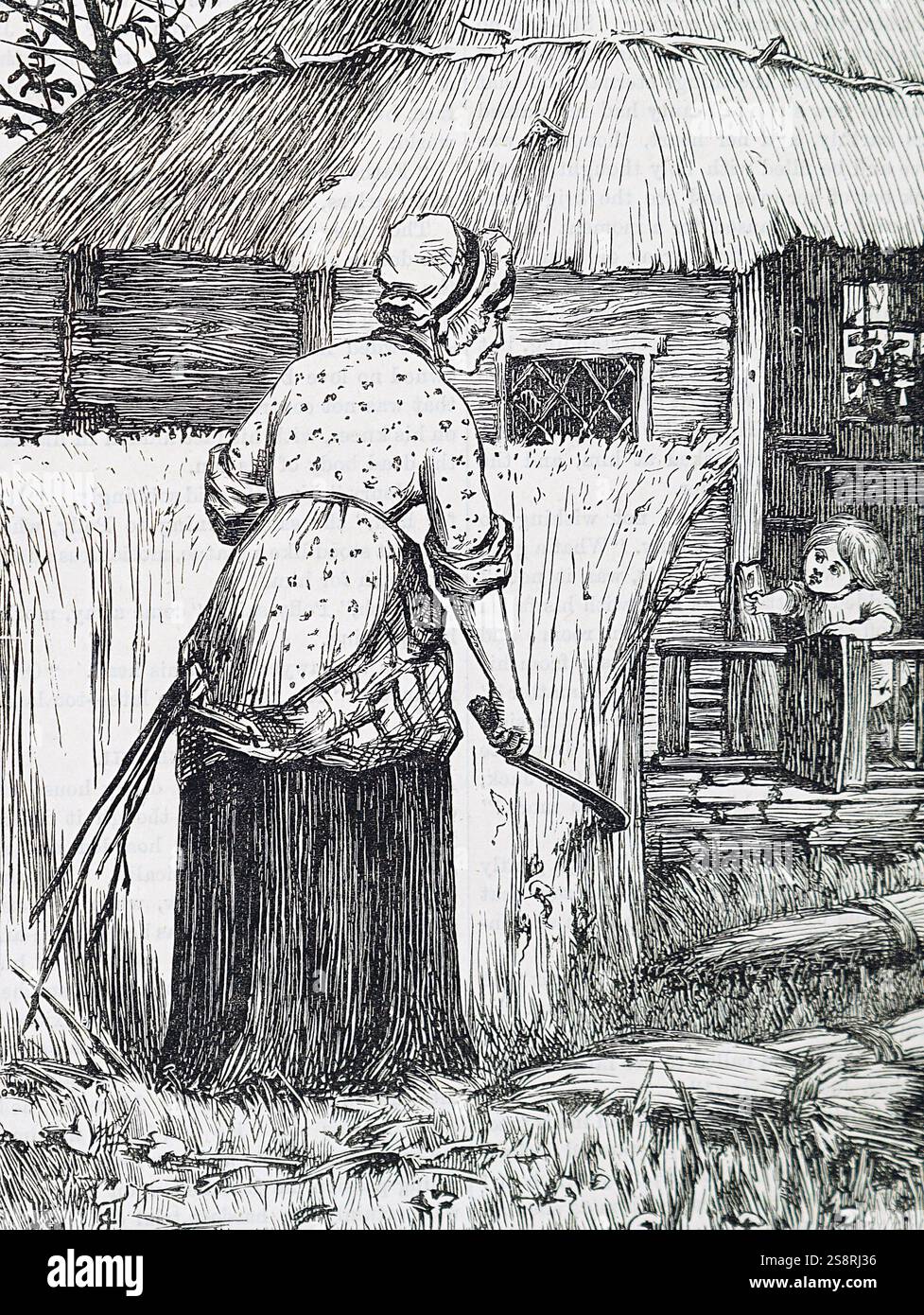 Engraving depicting the reaping of barley by hand. Dated 19th Century ...