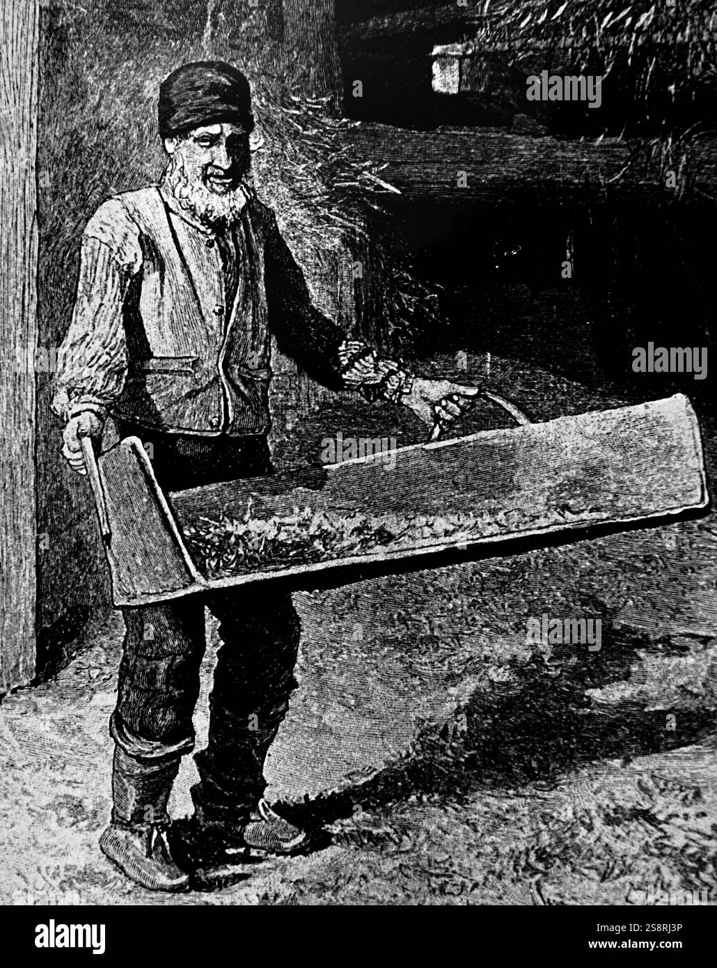 Winnowing hi-res stock photography and images - Alamy