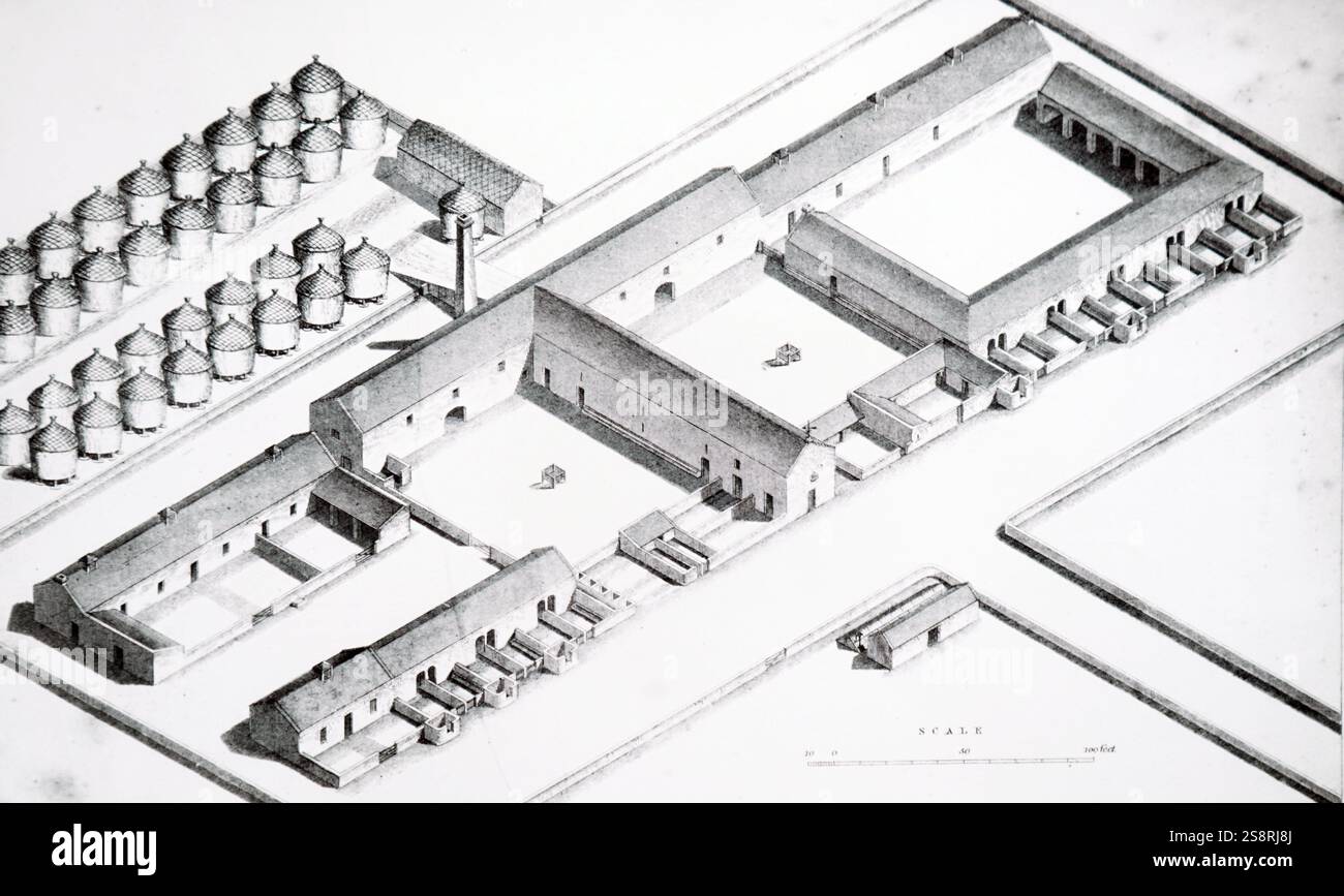 Isometric view of a steading, showing the rick yard, piggeries, cattle ...