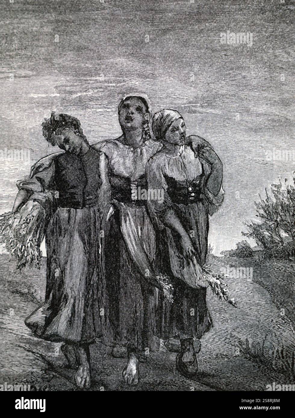 19th century french peasant hi-res stock photography and images - Alamy