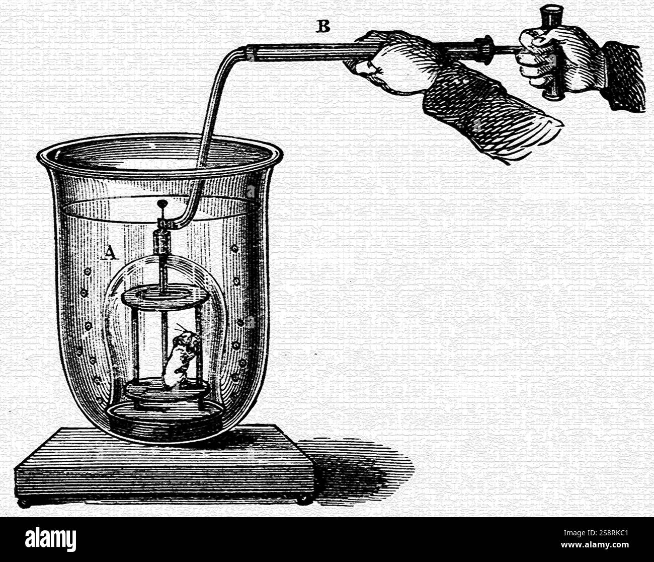 Illustrated miniature Black and White Stock Photos & Images - Alamy